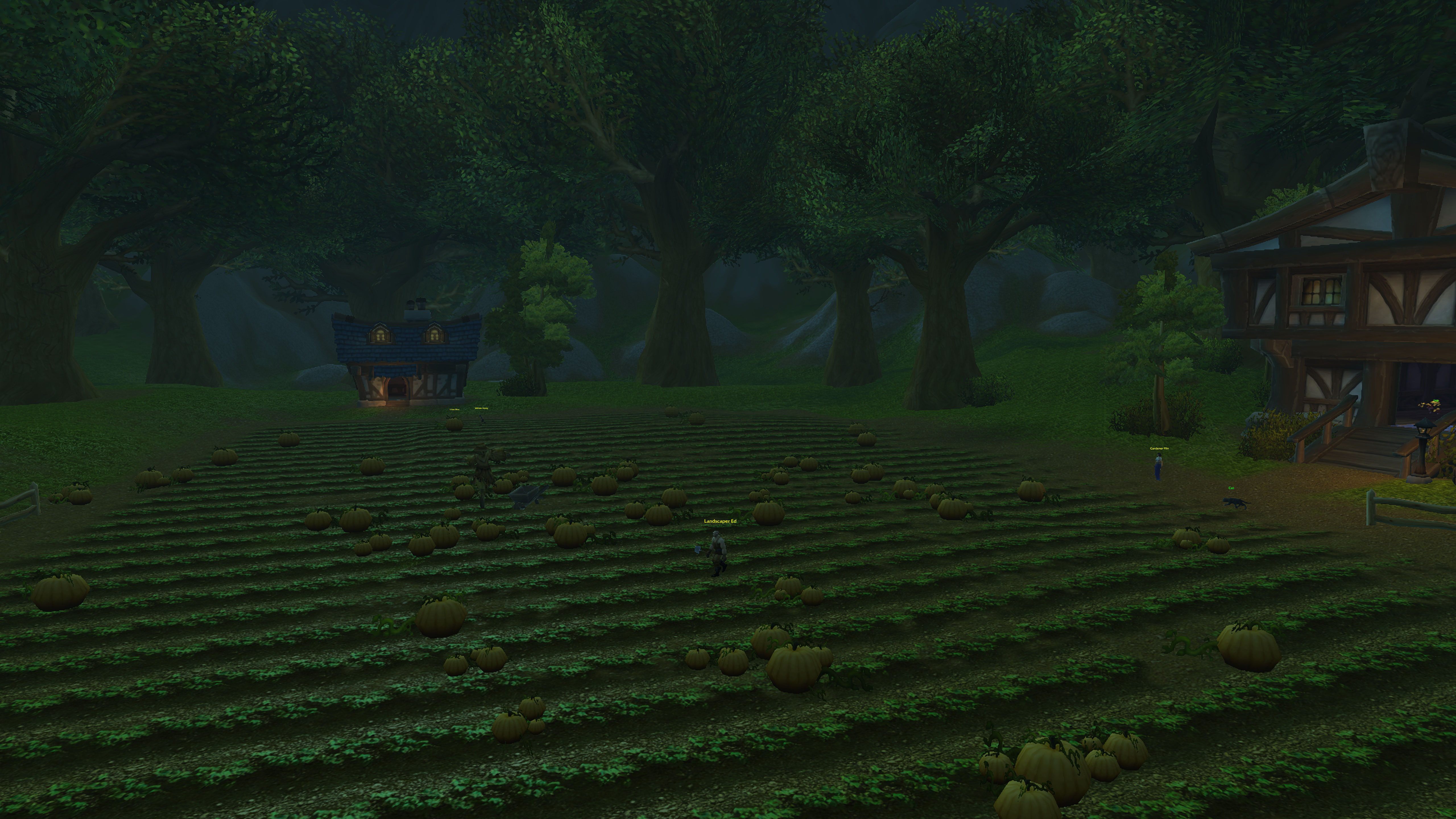 Gilnean and Darnassian Refugees Gone from Stormwind - News - Icy Veins